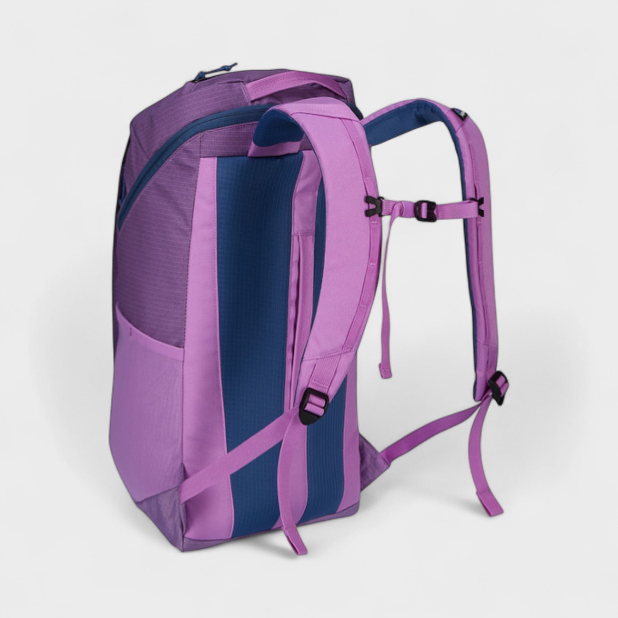 Patagonia Black Hole Backpack 25L - Brisk Purple – Hiatus Store